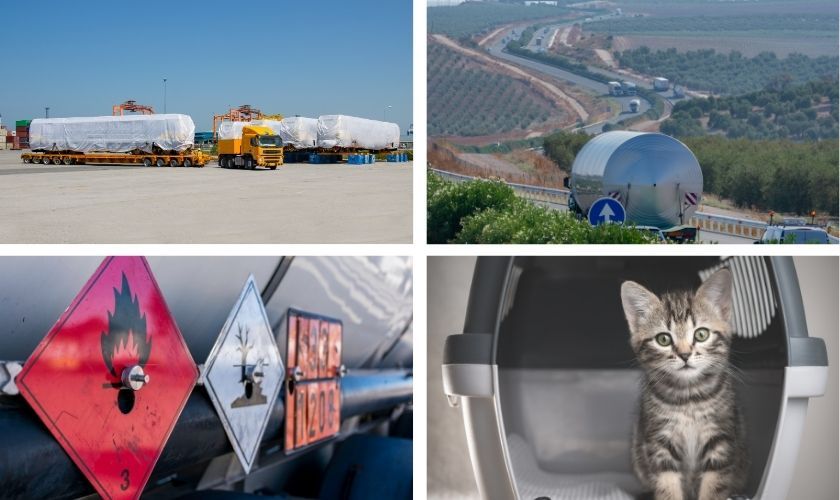 Dunyo Cargo | Транспортно-логистические решения. Международные ...